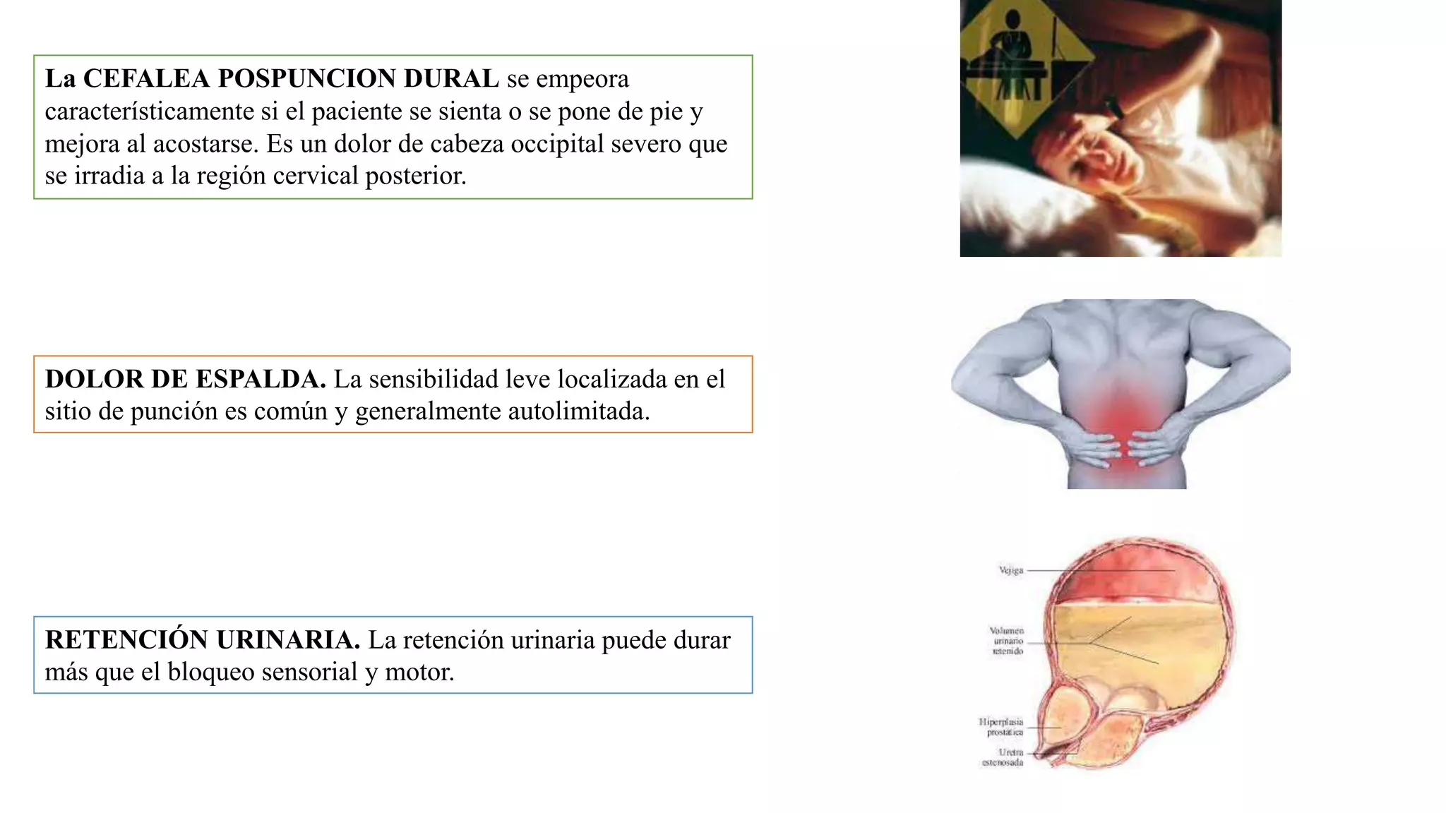 Anestesia raquidea, epidural y caudal | PPTX