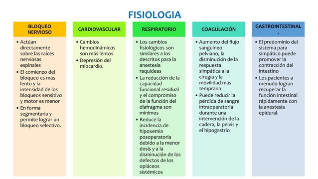 Anestesia raquidea, epidural y caudal | PPTX