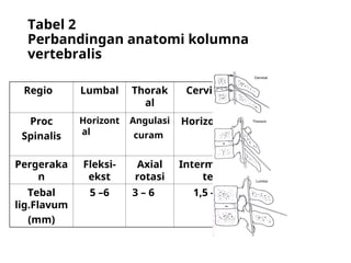 Anestesi Spinal part I : dasar-dasar anatomi | PPT