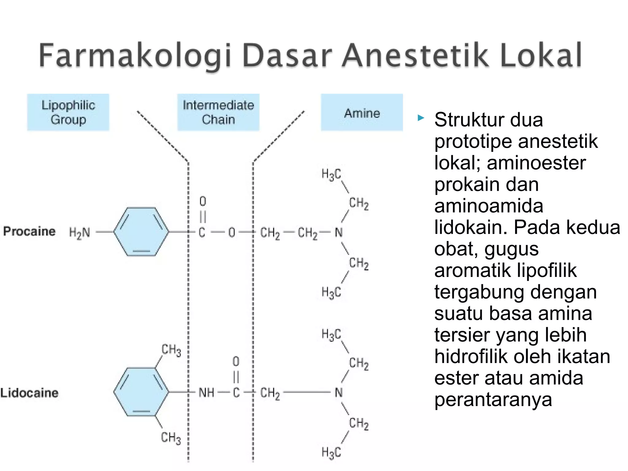 Anestetik lokal | PPT
