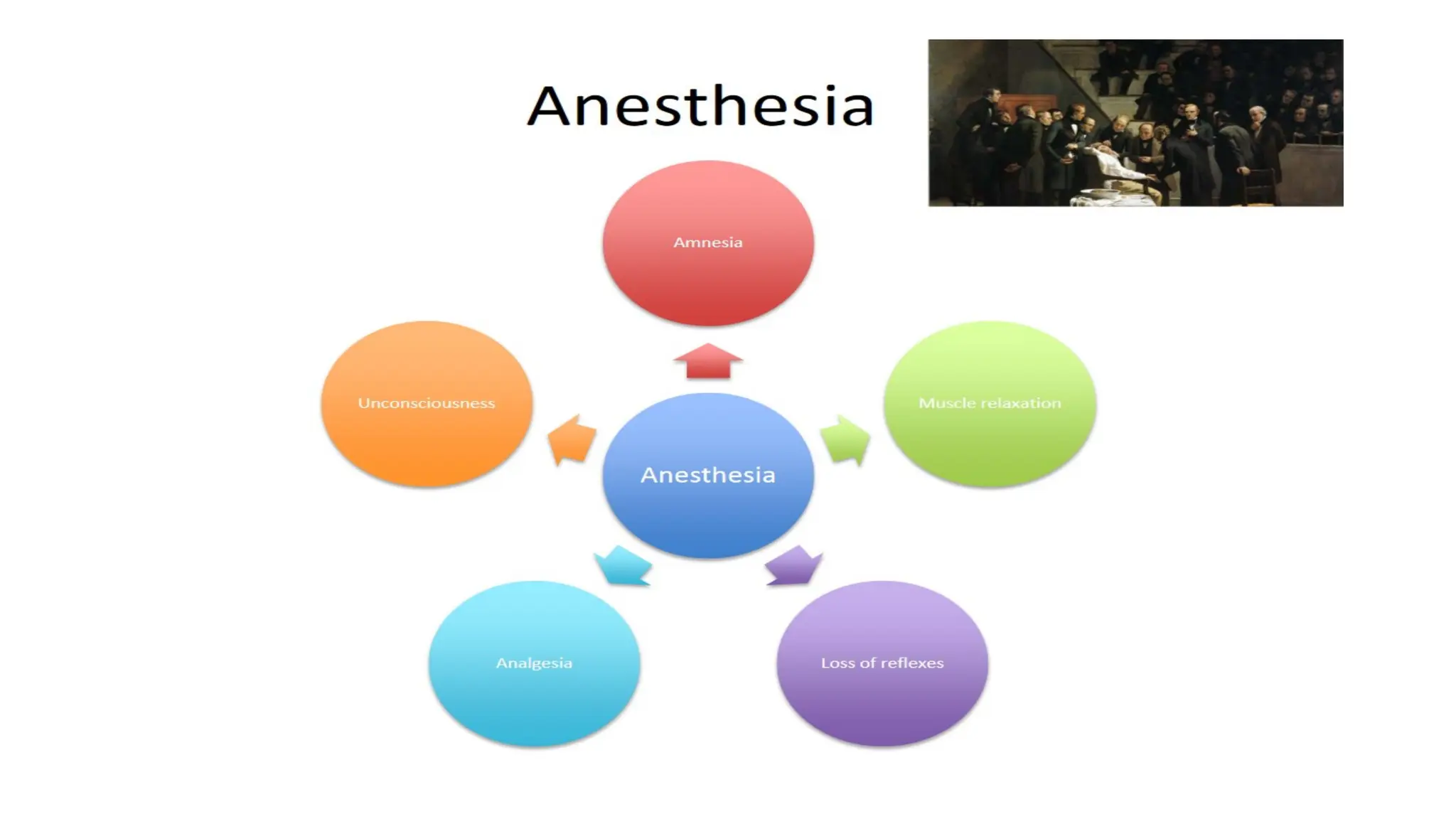 Comprehensive Guide to Anesthesia: Types, Techniques, and Applications ...