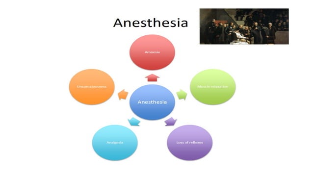 Comprehensive Guide to Anesthesia: Types, Techniques, and Applications ...