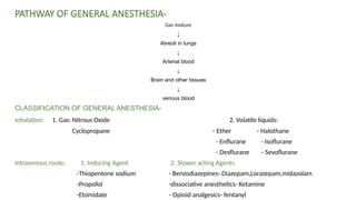 Comprehensive Guide to Anesthesia: Types, Techniques, and Applications ...