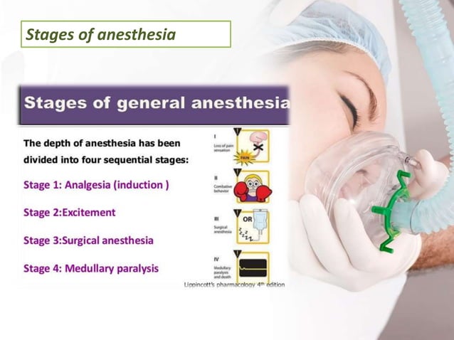 Anesthesia | PPTX | First Aid | Injuries