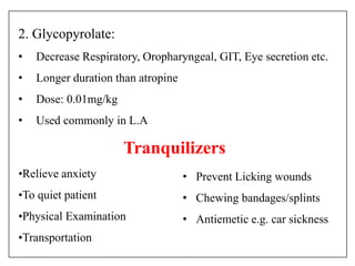 Anesthesia | PPTX