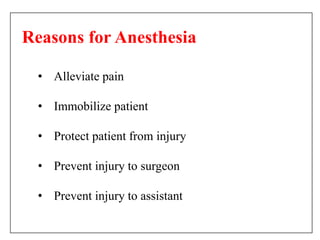 Anesthesia | PPTX