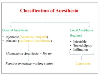 Anesthesia | PPTX