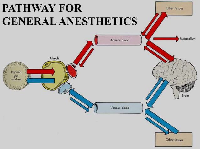 Austin Journal of Anesthesia and Analgesia | PPT