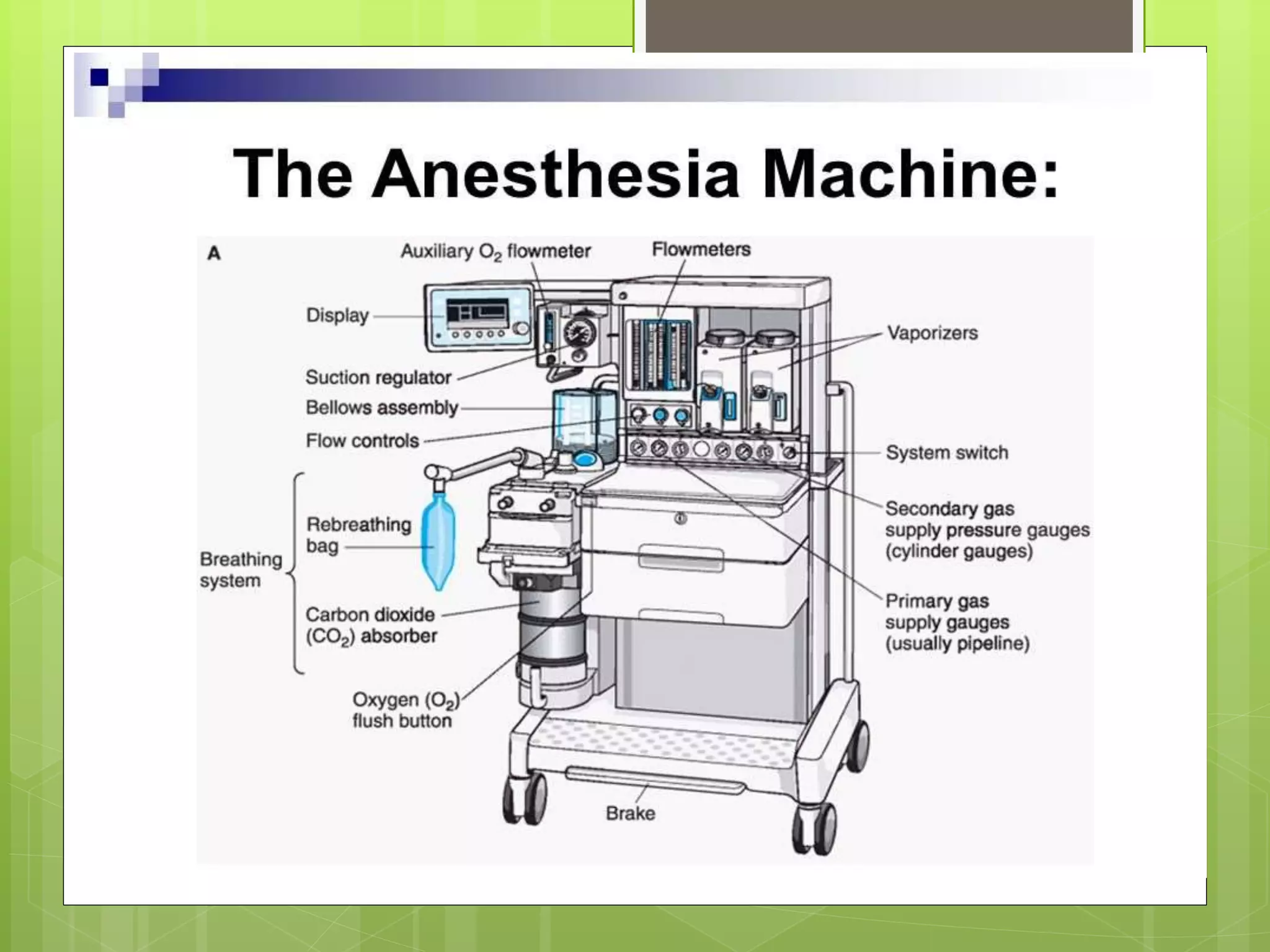 Anesthesia ppt | PPTX