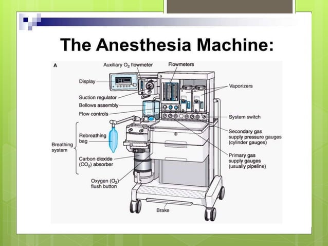 Anesthesia ppt | PPTX | Surgery | Medical Health