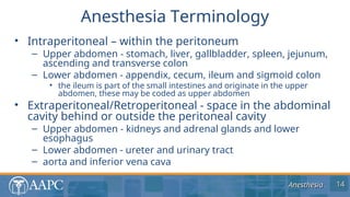 Anesthesia done on a patient before a procedure | PPT