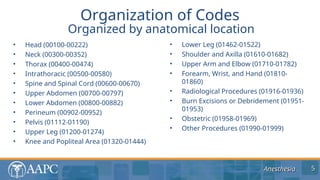 Anesthesia done on a patient before a procedure | PPT