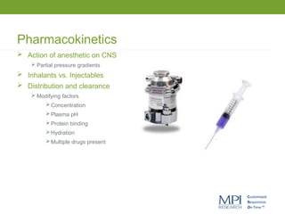 Anesthesia test review and description .ppt