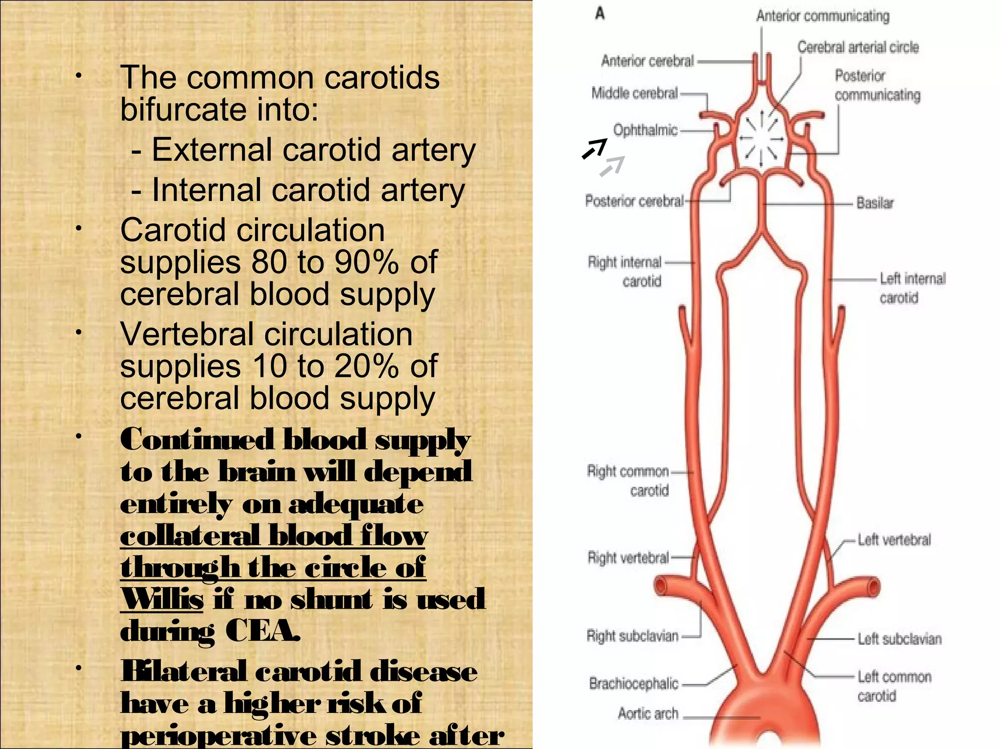 Anesthesia for-carotid-endarterectomy | PPT