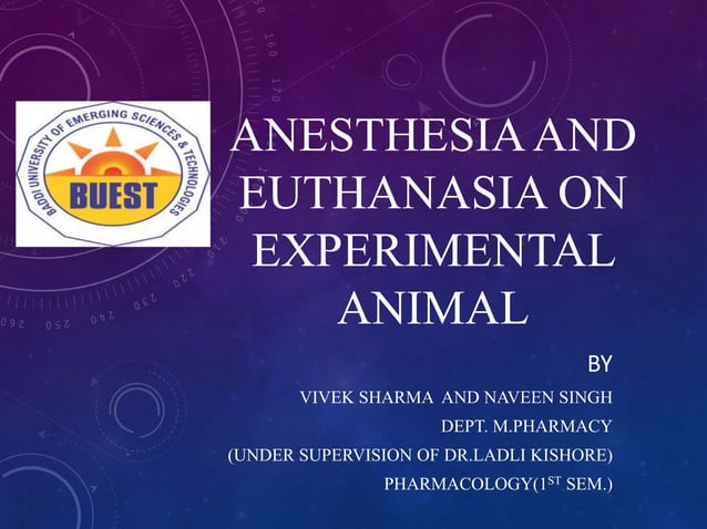 Anesthesia and euthanasia of experimental animal by vivek and naveen | PPTX