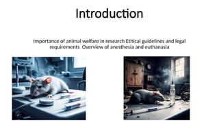 Anesthesia and Euthanasia of Experimental Animals.pptx