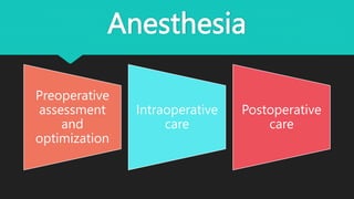 Anesthesia and Perioperative care final_202310201504224319.pptx