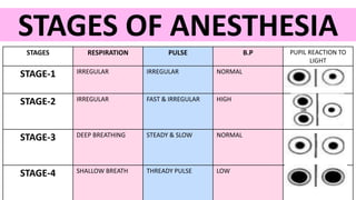 anesthesia & ansthetics.pptx