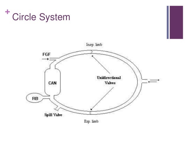 Ventilation dead space + anesthesia - jnrdish
