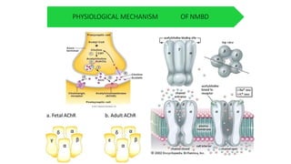 Anesthesia Drugs and Drugs used in resuscitation 1.pptx