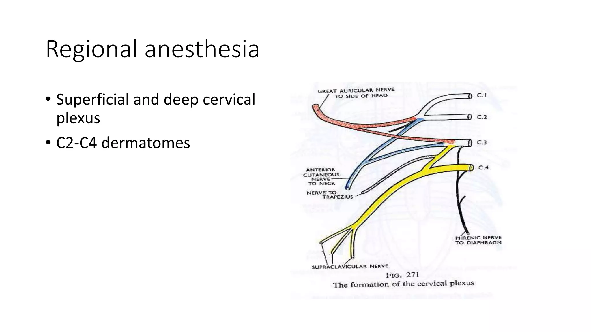 Anesthesia for carotid endarterectomy | PPTX