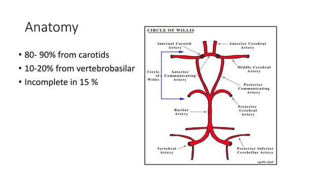 Anesthesia for carotid endarterectomy | PPTX