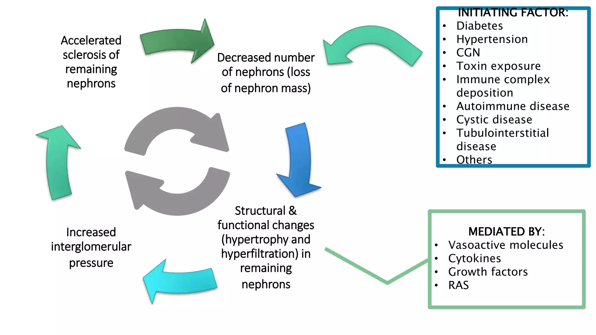ANESTHESIA FOR CKD PATIENTS.pptx