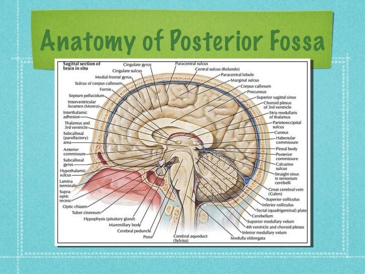 Anesthesia for neurosurgery (zuhura)