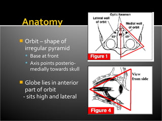 Anesthesia for Ophthalmic sx edit | PPT