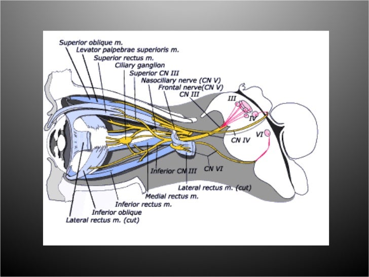 Anesthesia for Ophthalmic sx edit