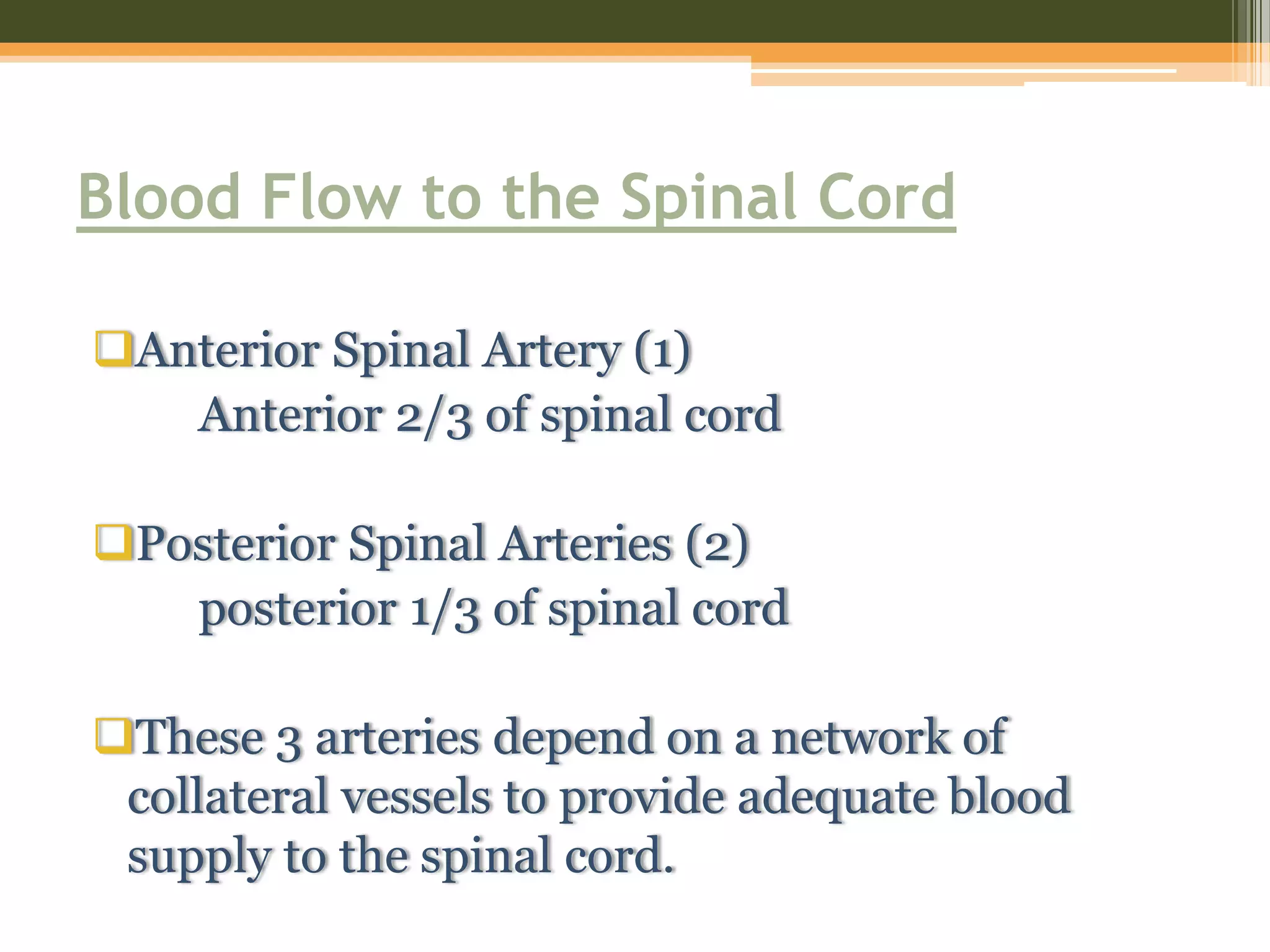 Anesthesia for spinal cord injury and scoliosis030 | PPTX