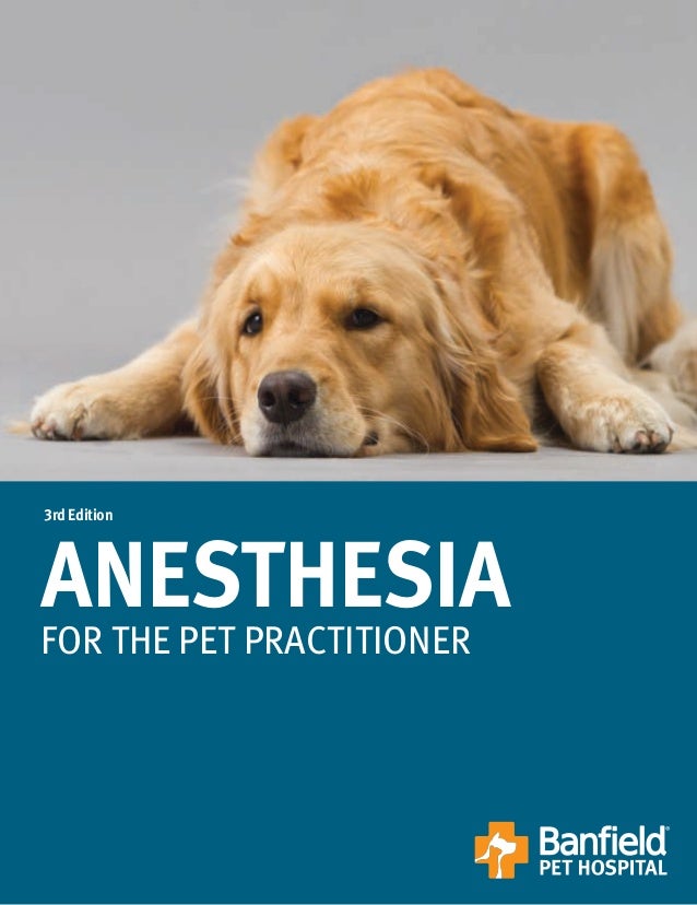 Anesthesia For The Pet Practitioner Banfield 2011 Edition
