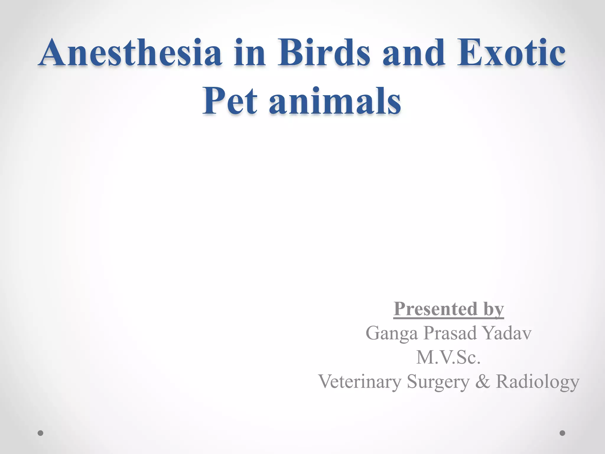 Anesthesia in birds and exotic pet animals | PPTX