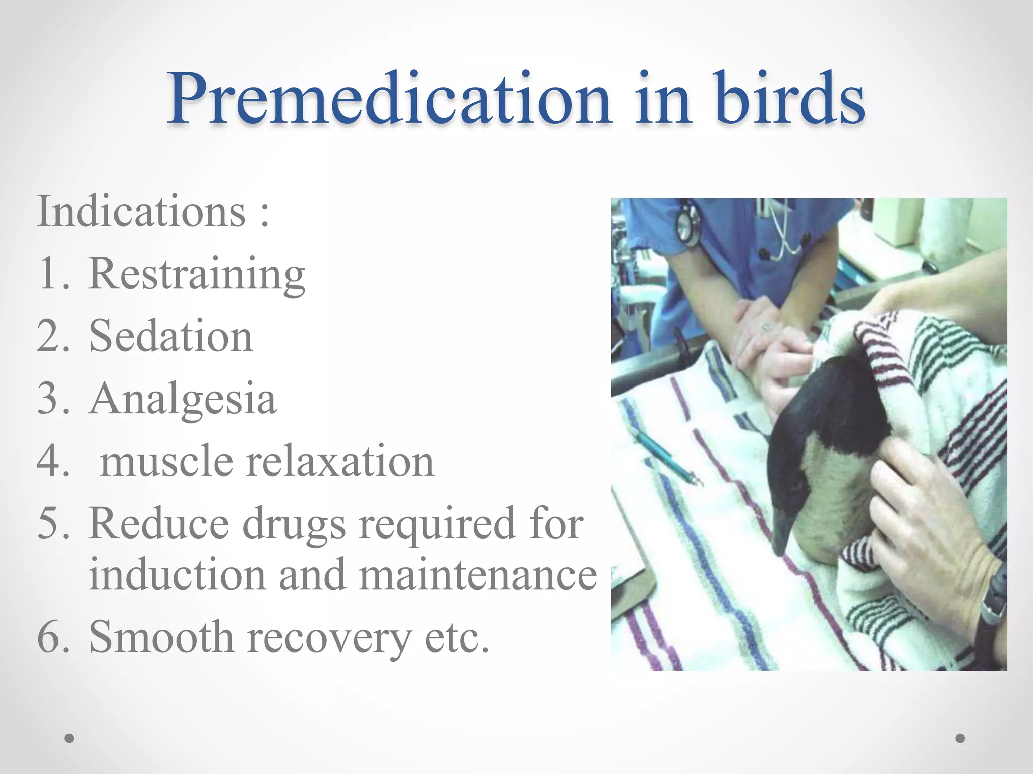 Anesthesia in birds and exotic pet animals | PPTX