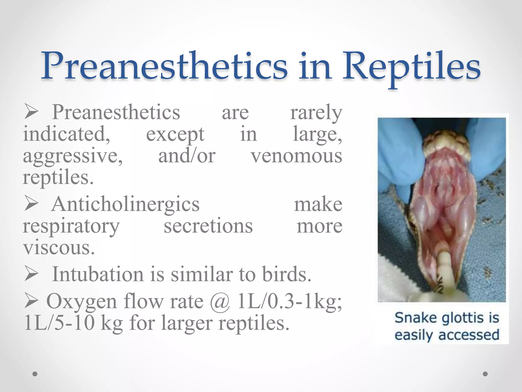 Anesthesia in birds and exotic pet animals | PPTX