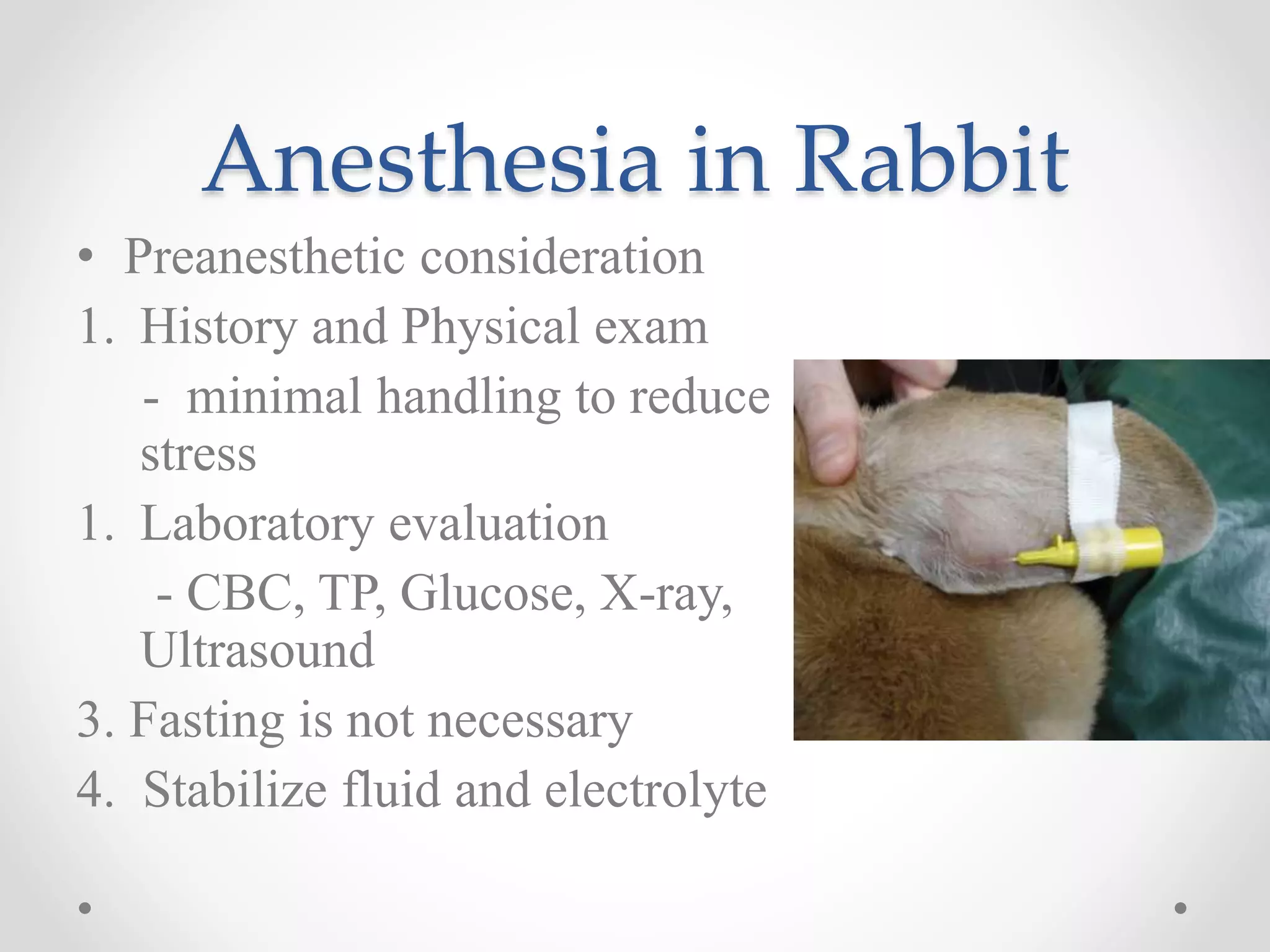 Anesthesia in birds and exotic pet animals | PPTX