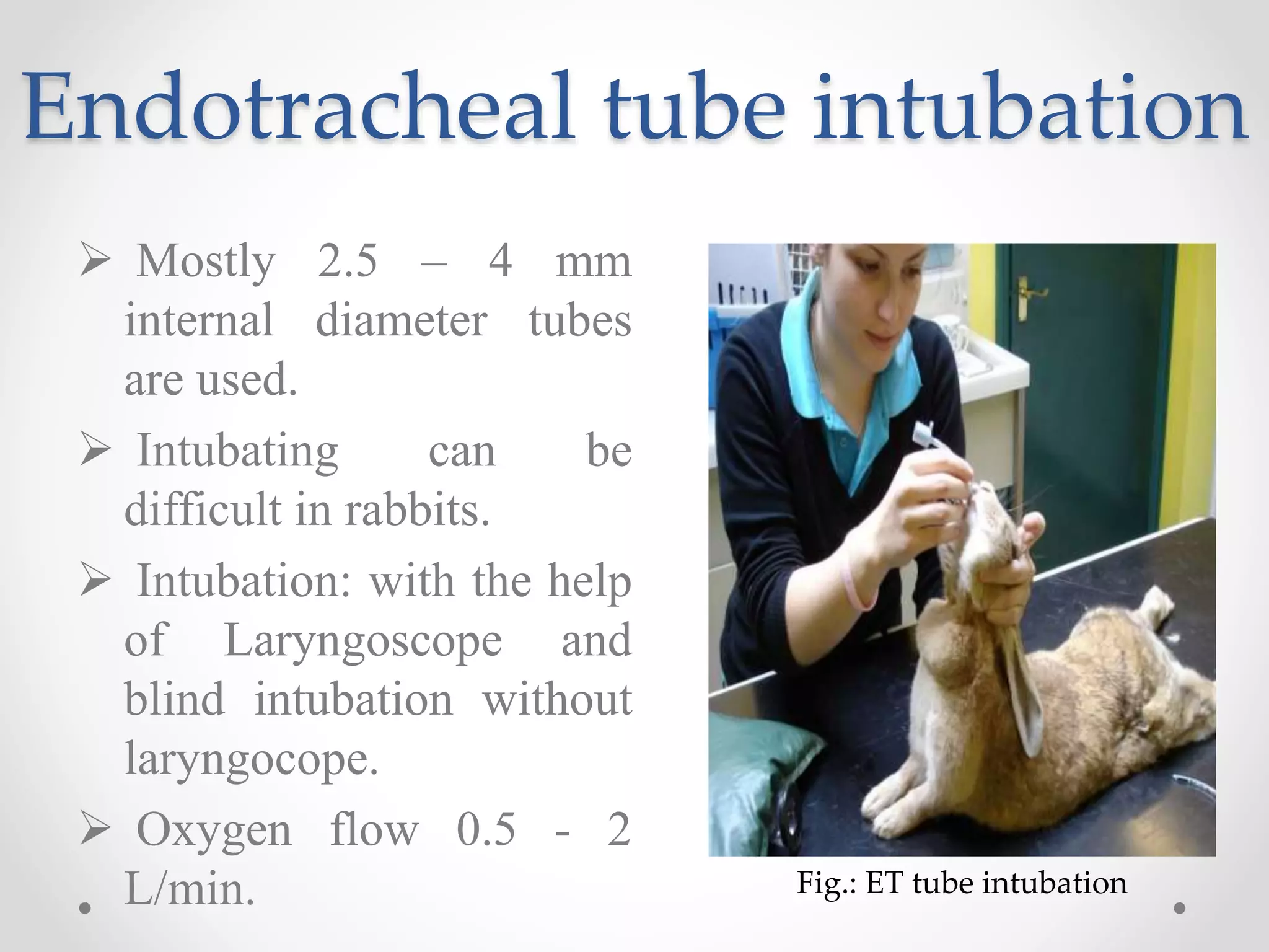 Anesthesia in birds and exotic pet animals | PPTX