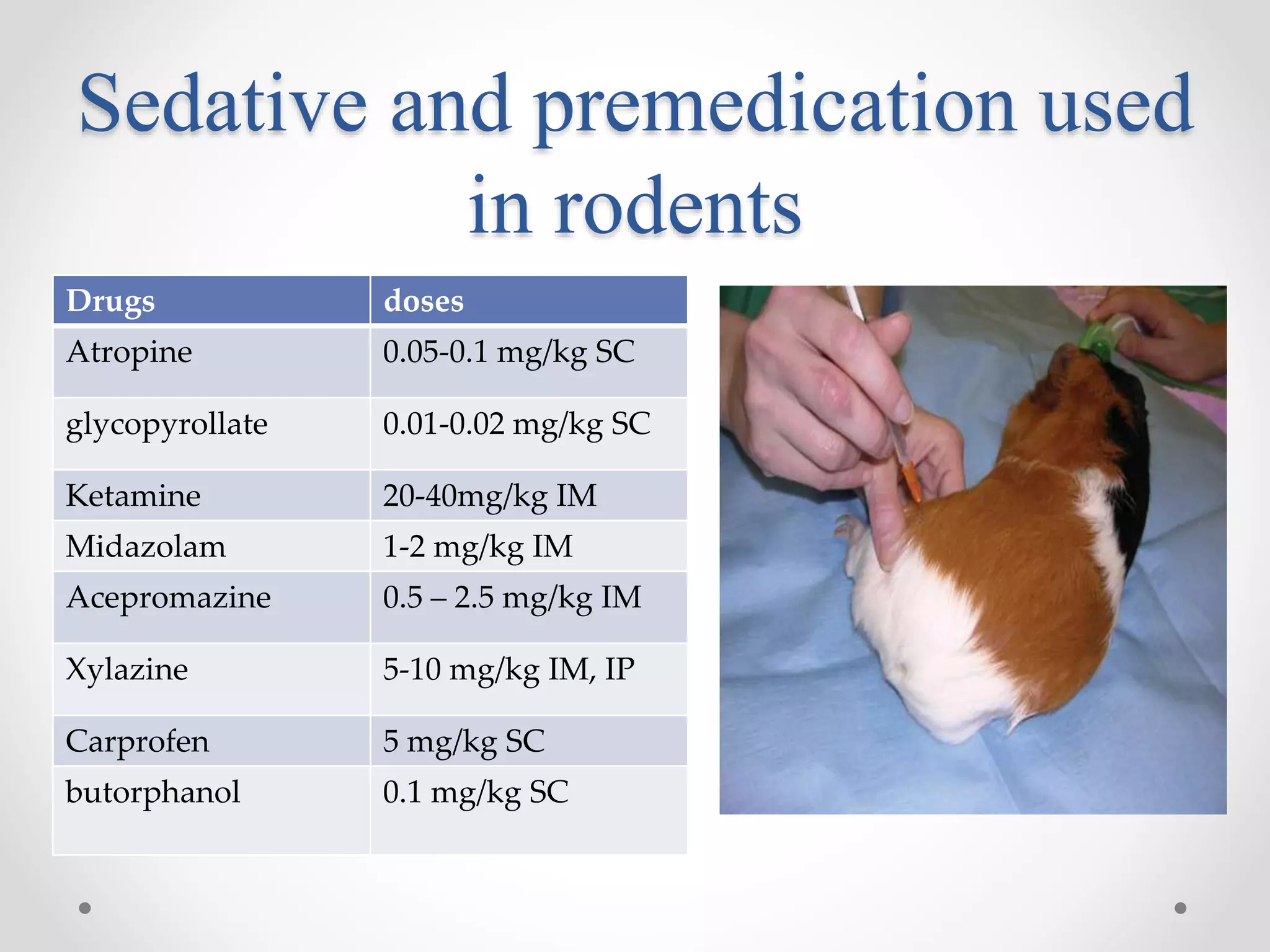 Anesthesia in birds and exotic pet animals | PPTX
