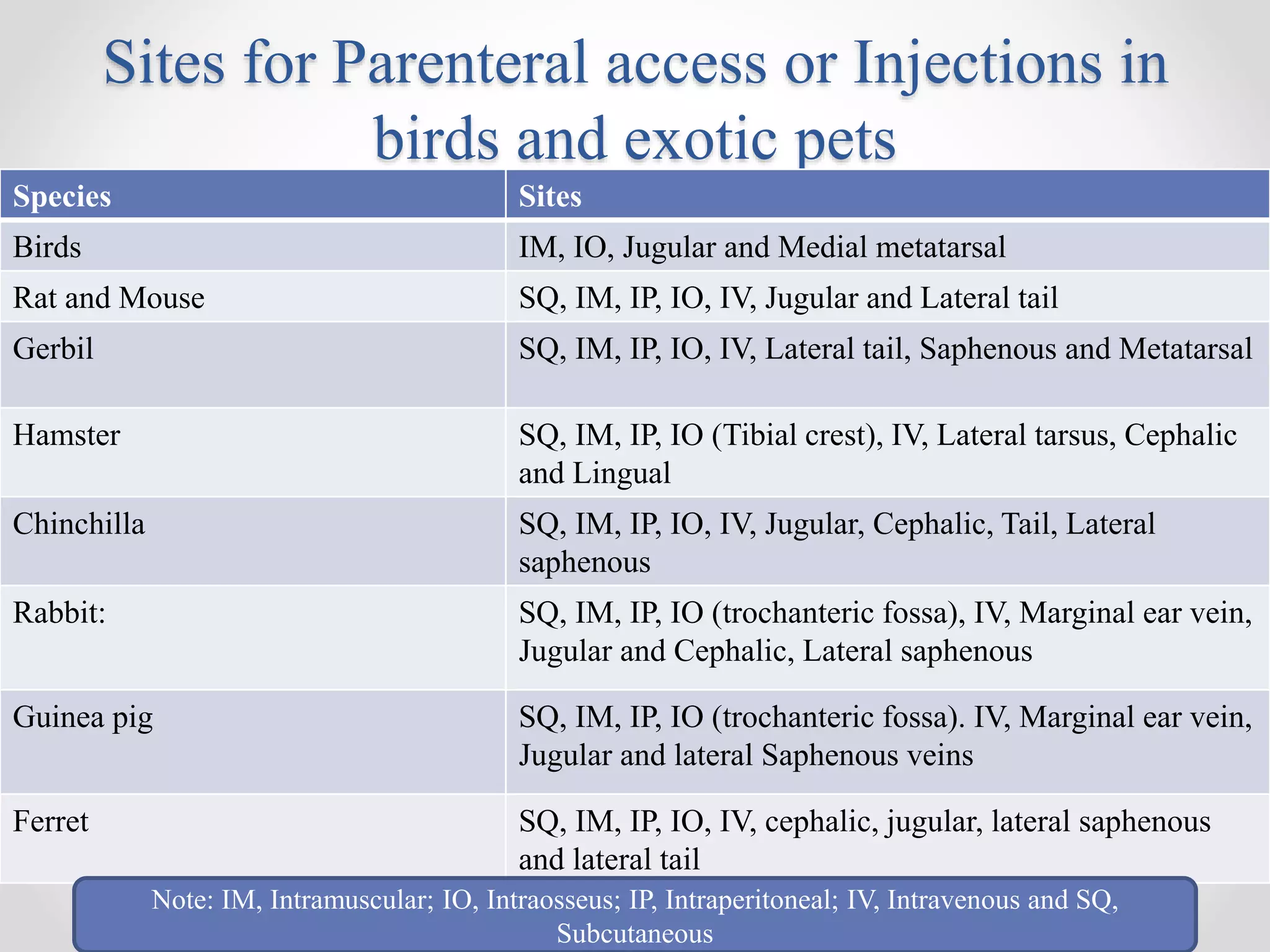 Anesthesia in birds and exotic pet animals | PPTX
