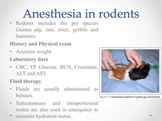 Anesthesia in birds and exotic pet animals | PPT