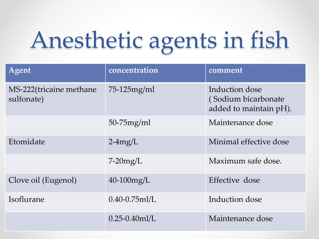 Anesthesia in birds and exotic pet animals | PPT