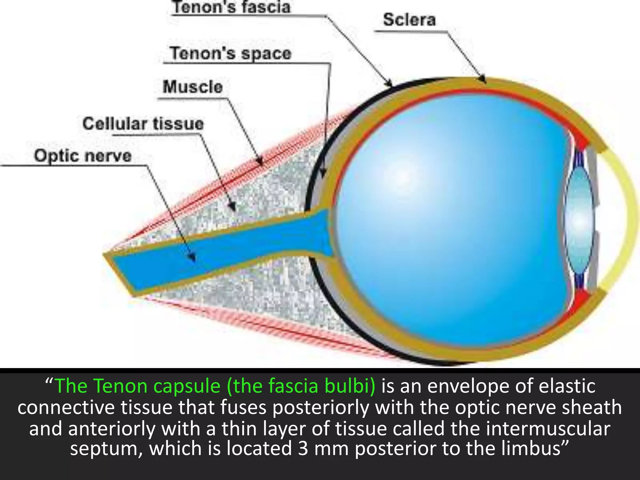 Anesthesia in ophthalmic surgery | PPTX