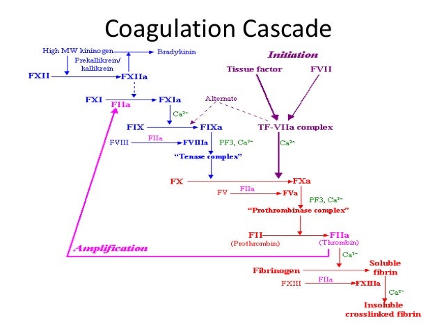 Anesthesia in patients on anti coagulants