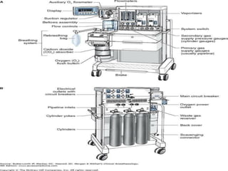 Anesthesia Machine.pdf are most important | PDF