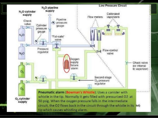 Anesthesia Machine and their Anatomy
