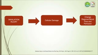 ANESTHESIA MANAGEMENT IN BURN WITH INHALATION TRAUMA - Copy.ppt | First ...