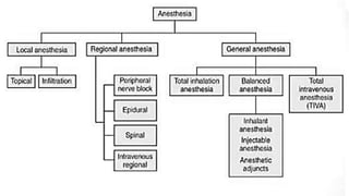 Types of anesthesia | PPTX