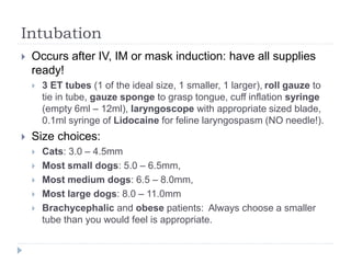 Anesthesia review | PPTX | Veterinary Medicine | Pets