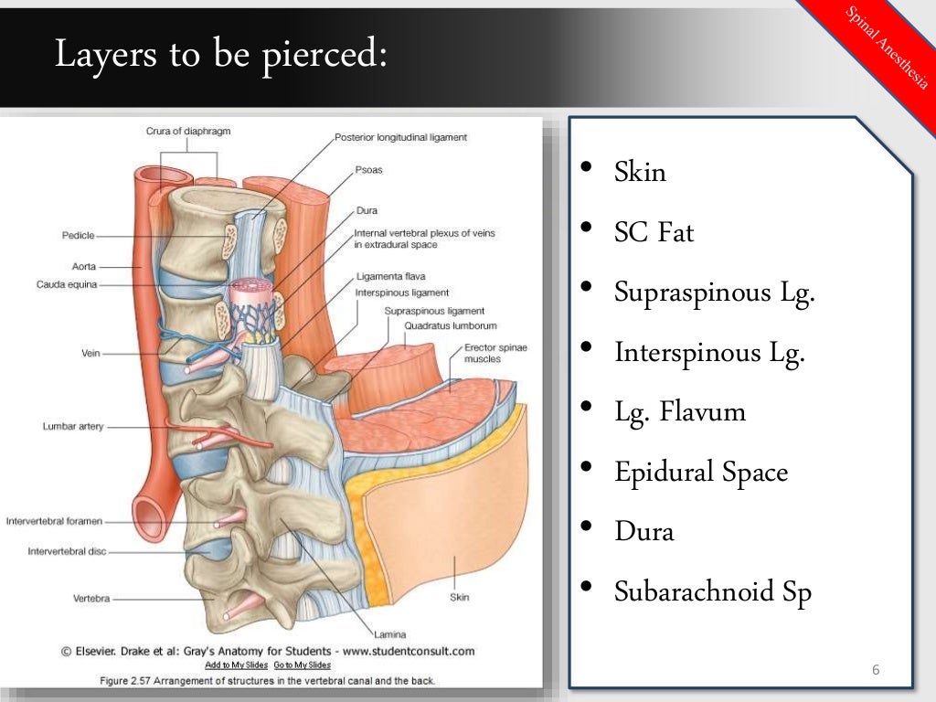 (Anesthesia) spinal anesthesia english by dr. kalimullah wardak