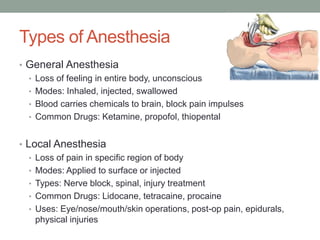 Anesthesiology ML | PPT